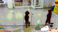 Perfect GIFs - Get the best gif on GIFER