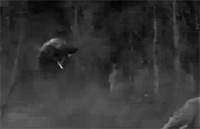 Fcm GIFs - Get the best gif on GIFER