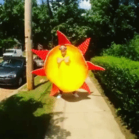 Sunny GIFs - Get the best gif on GIFER
