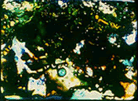 Conceptual GIFs - Get the best gif on GIFER