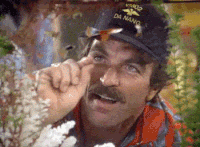 Selleck GIFs - Get the best gif on GIFER