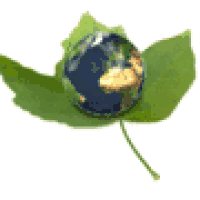 Ecology GIFs - Get the best gif on GIFER