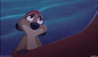 Timon GIFs - Get the best gif on GIFER
