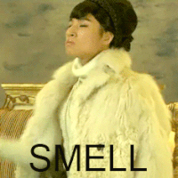 Envio GIFs - Get the best gif on GIFER