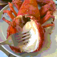 Lobster GIFs - Get the best gif on GIFER