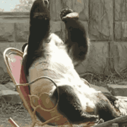 Disappointing GIFs - Get the best gif on GIFER