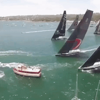 Yacht racing GIF - Conseguir o melhor gif em GIFER