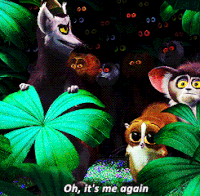 Madagascar GIFs - Get the best gif on GIFER