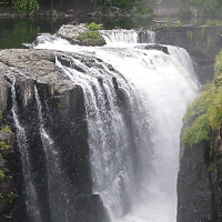 Chute GIF - Conseguir o melhor gif em GIFER