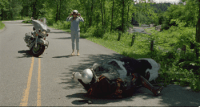 Cruelty GIFs - Get the best gif on GIFER