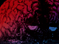 Agar agar GIFs - Get the best gif on GIFER