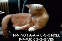 Subwoofer GIFs - Get the best gif on GIFER