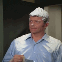 Bunch GIFs - Get the best gif on GIFER