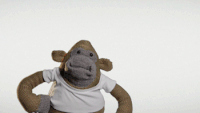 Tip GIFs - Get the best gif on GIFER