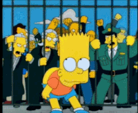 Australie GIFs - Get the best gif on GIFER