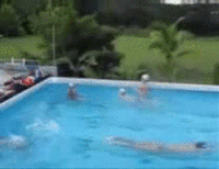 Swim GIFs - Get the best gif on GIFER