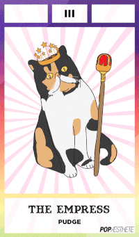 Pudge гифки, анимированные GIF изображения pudge - скачать гиф картинки ...