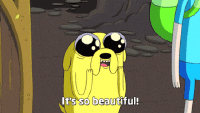 Useless GIFs - Get the best gif on GIFER
