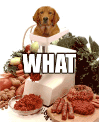 Irrelevant GIFs - Get the best gif on GIFER