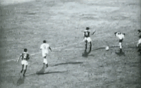 Pele GIFs - Get the best gif on GIFER