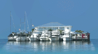 Yachts GIFs - Get the best gif on GIFER