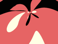 Houdini GIFs - Get the best gif on GIFER