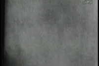 Arkady GIFs - Get the best gif on GIFER