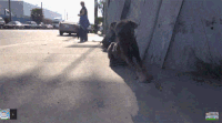 Homeless GIFs - Get the best gif on GIFER