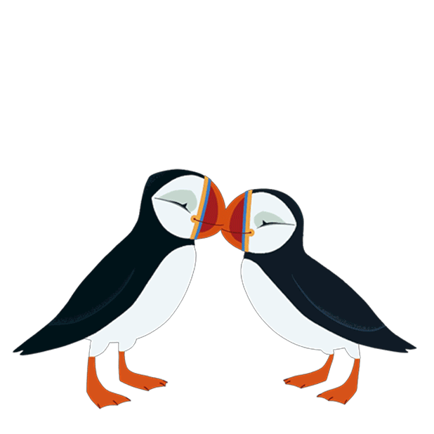 Puffins GIFs - Get the best gif on GIFER