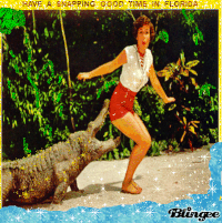 Florida GIFs - Get the best gif on GIFER