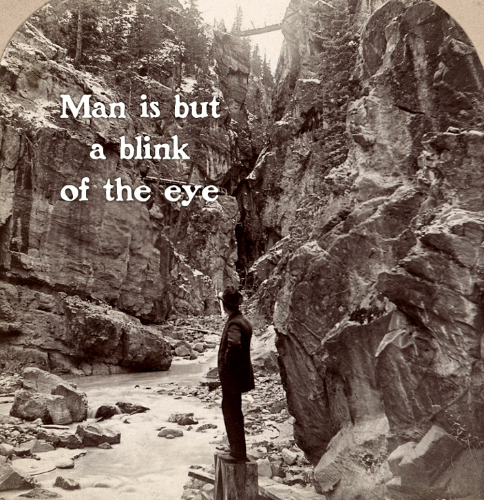 Humankind GIFs - Get the best gif on GIFER