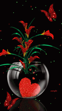 S GIFs - Get the best gif on GIFER