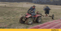 Redneck GIFs - Get the best gif on GIFER
