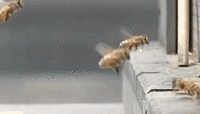 Collisions GIFs - Get the best gif on GIFER