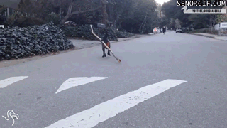 Big stick GIF - Conseguir el mejor gif en GIFER
