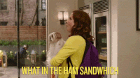 Ham GIFs - Get the best gif on GIFER