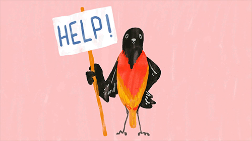 Starving GIFs - Get the best gif on GIFER