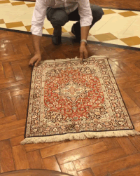 Rug GIFs - Get the best gif on GIFER