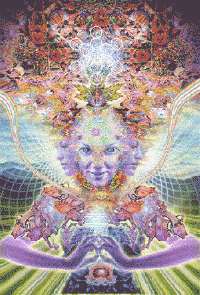 Dmt lsd GIF - Conseguir o melhor gif em GIFER