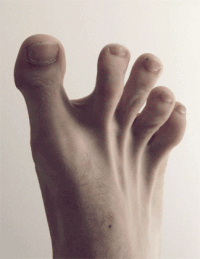 Toe GIFs - Get the best gif on GIFER