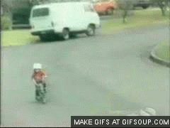 Tombo GIFs - Get the best gif on GIFER