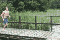 Showing GIFs - Get the best gif on GIFER