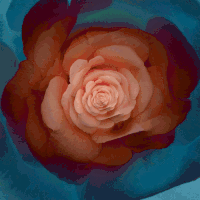 Life GIFs - Get the best gif on GIFER