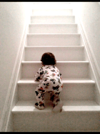 Stair GIFs - Get the best gif on GIFER