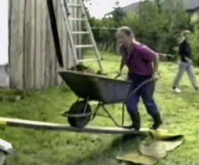 Maison GIFs - Get the best gif on GIFER