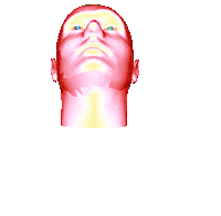 Head GIFs - Get the best gif on GIFER
