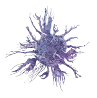 Cell GIFs - Get the best gif on GIFER