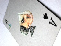 Poker GIFs - Get the best gif on GIFER