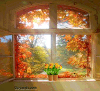 Autumn GIFs - Get the best gif on GIFER