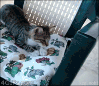 Posture GIFs - Get the best gif on GIFER